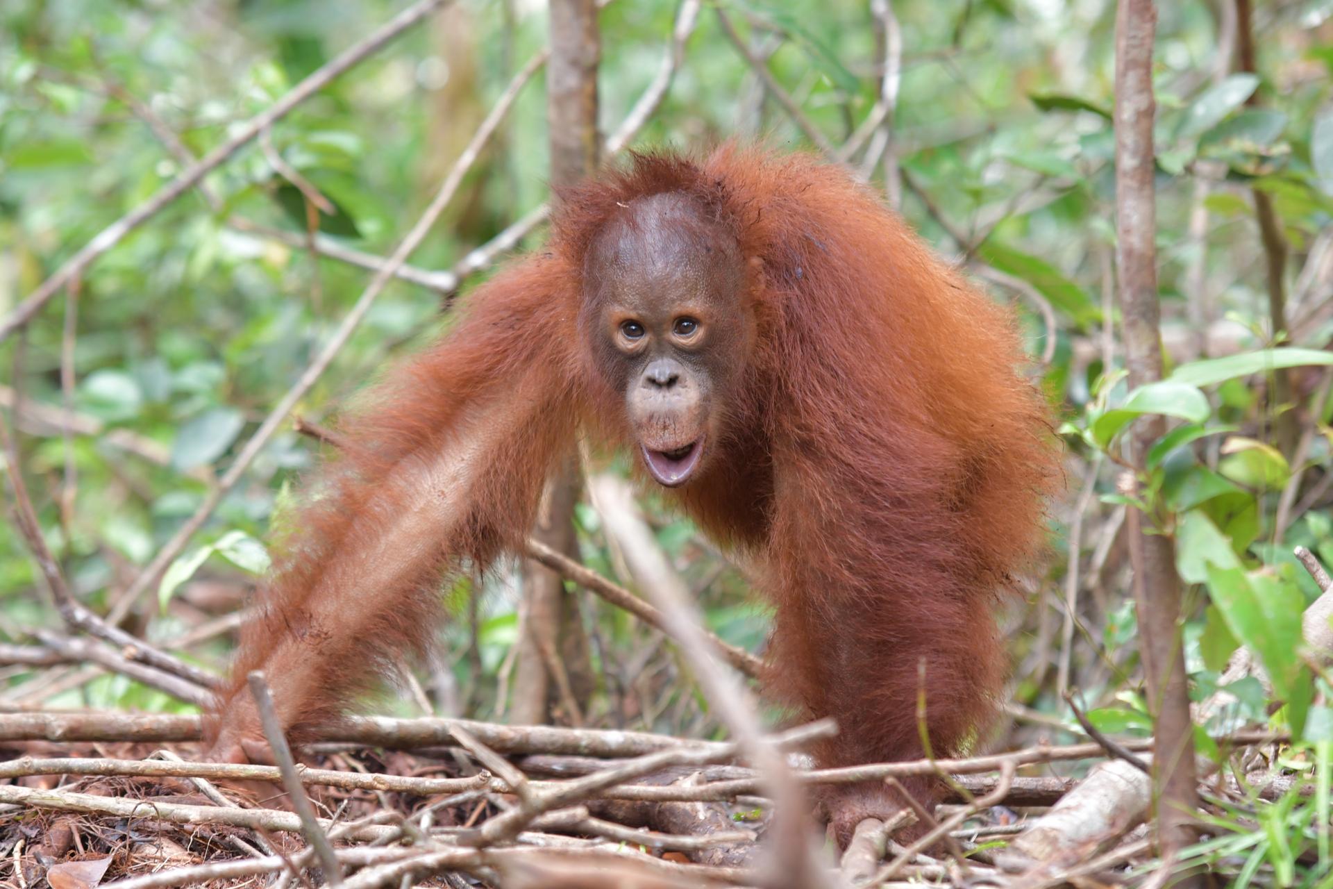 Stay Tuned For A Ranga Foundation: The Latest On Our 'Kids' - Stay ...