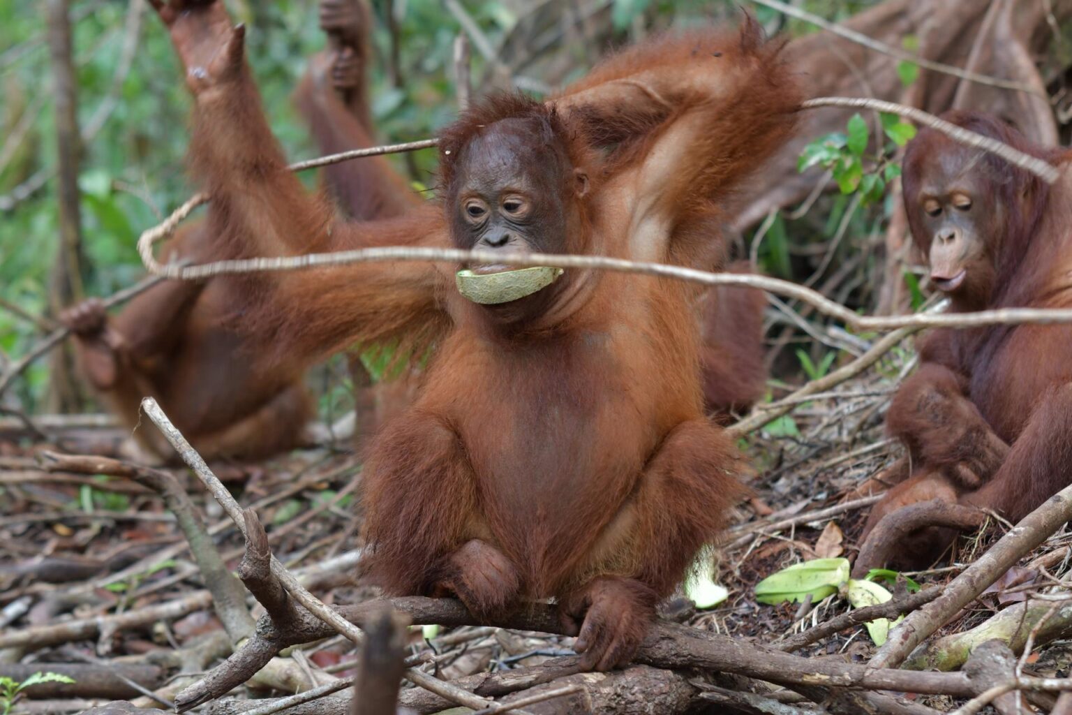 Stay Tuned For A Ranga Foundation: The Latest On Our 'Kids' - Stay ...