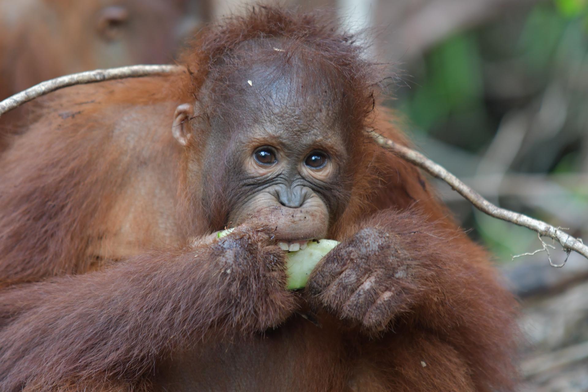 Stay Tuned For A Ranga Foundation: The Latest On Our 'Kids' - Stay ...