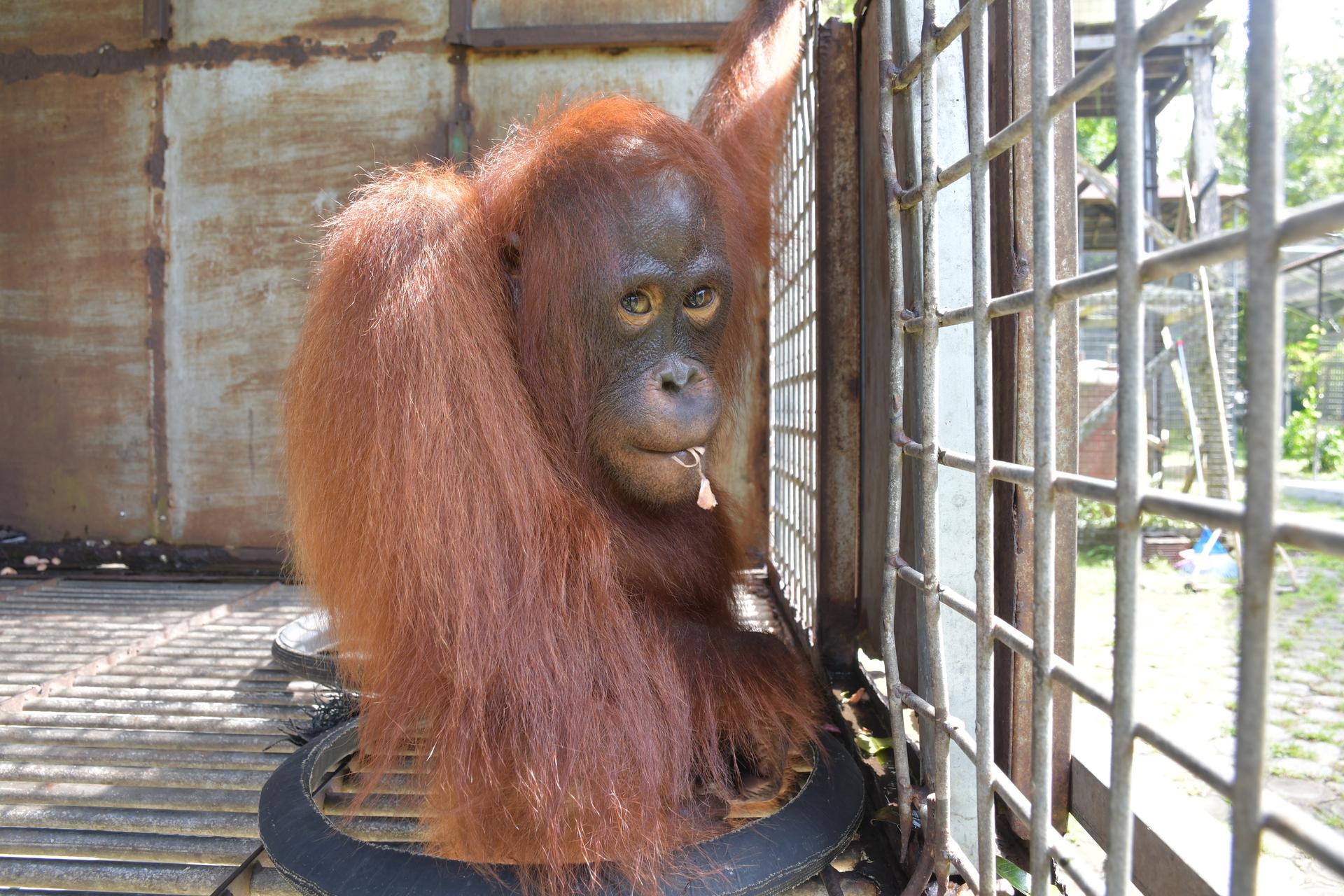 Stay Tuned For A Ranga Foundation: The Latest On Our 'Kids' - Stay ...